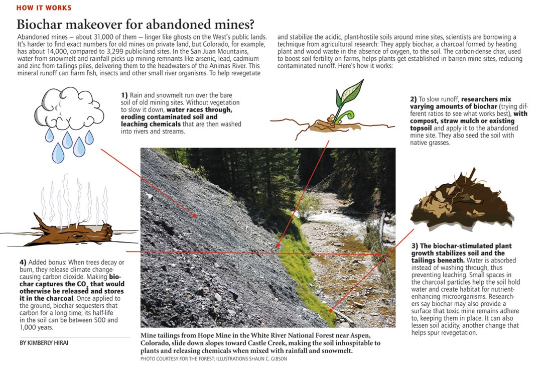 Restoration: Hope Mine biochar application has yielded surprising ...