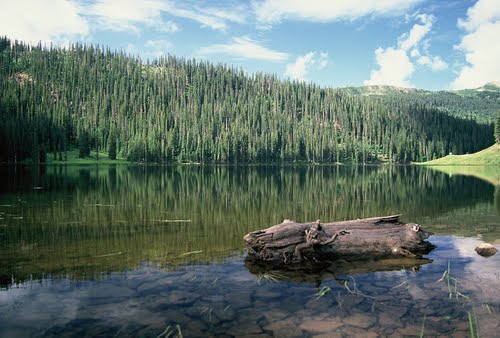 CPW: Alberta Park Reservoir dam to undergo maintenance – Coyote Gulch