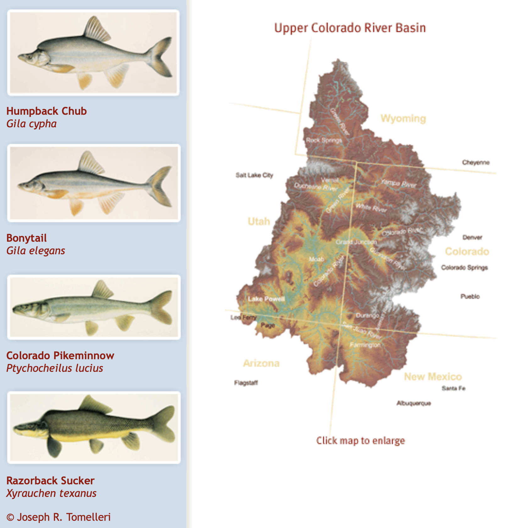 The Colorado Water Congress is hiring a #ColoradoRiver Project ...