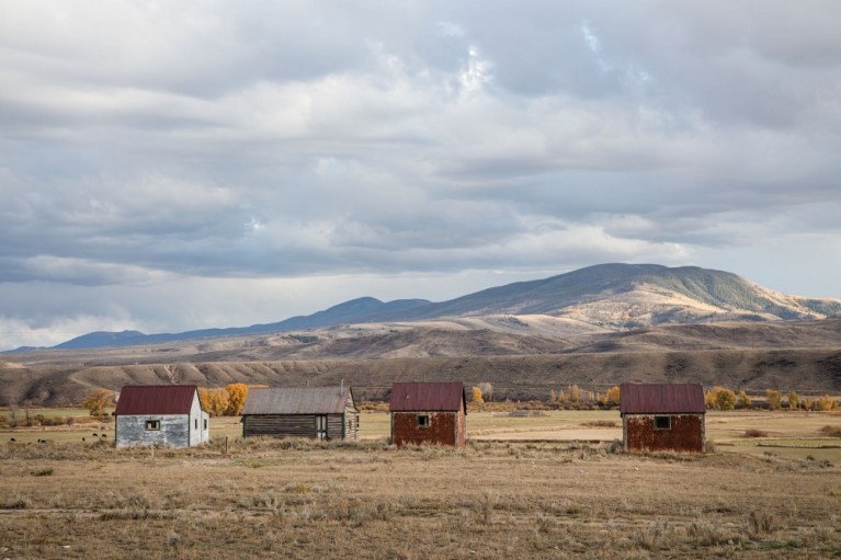 #ColoradoRiver District to Host Water With Your Lunch on Next ...