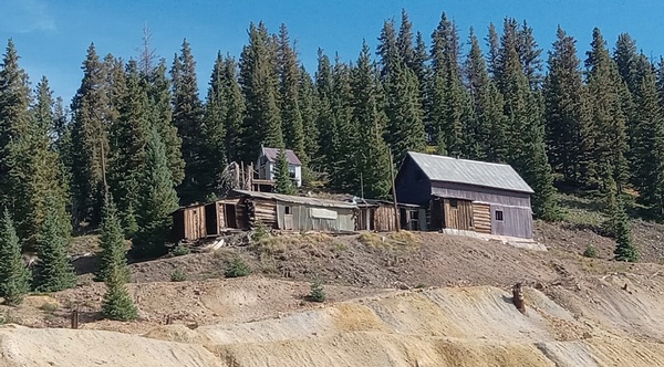 It’s alive! Experiment to plant trees on mine waste a surprising ...