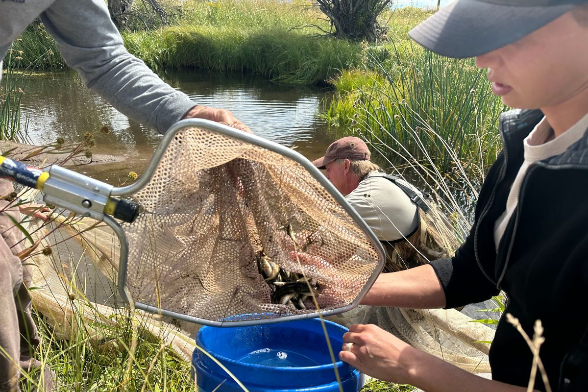 #Colorado Parks & Wildlife partners with USFWS, Great Sand Dunes ...