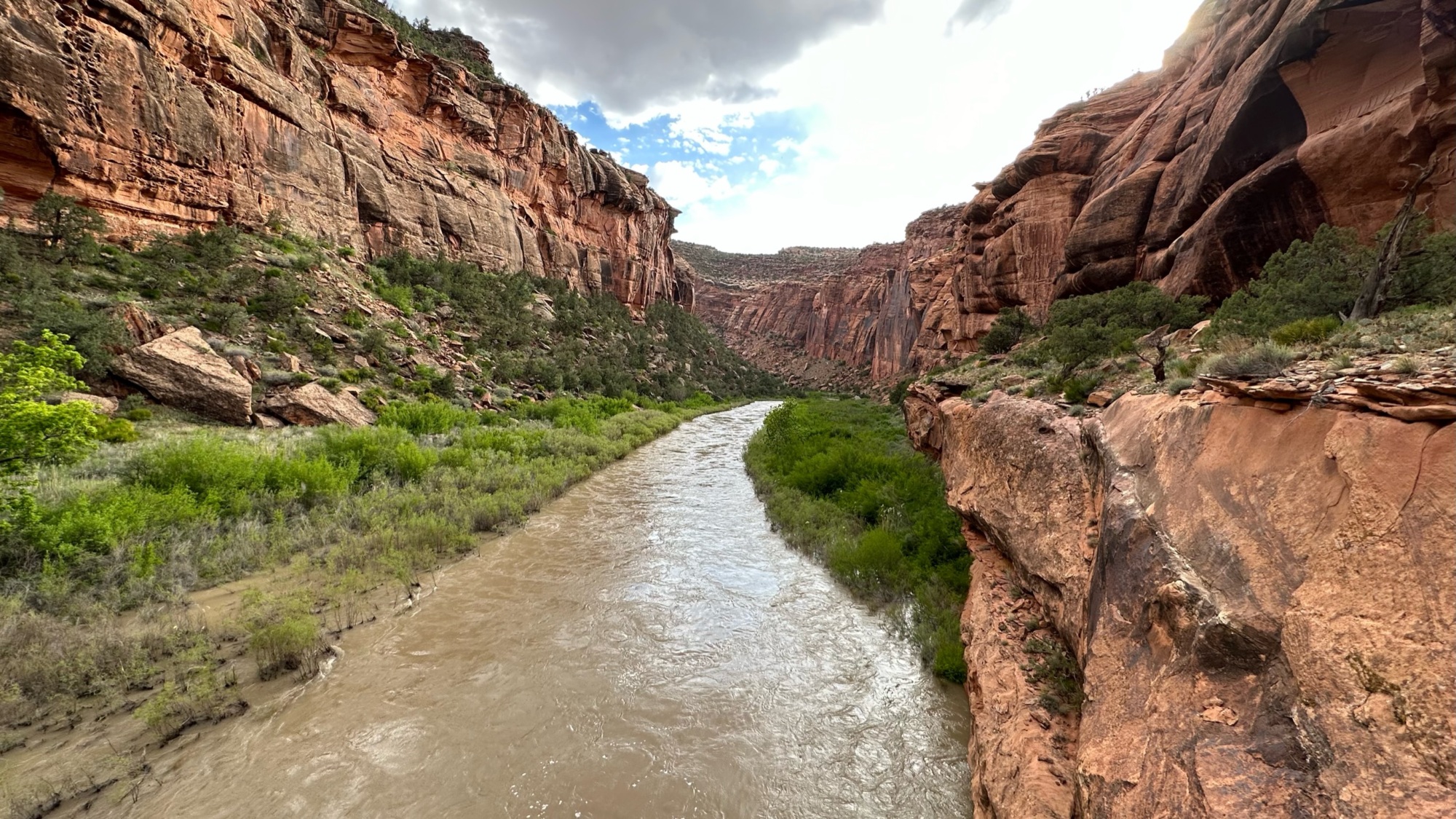 dolorado river canyon david joswick – Coyote Gulch
